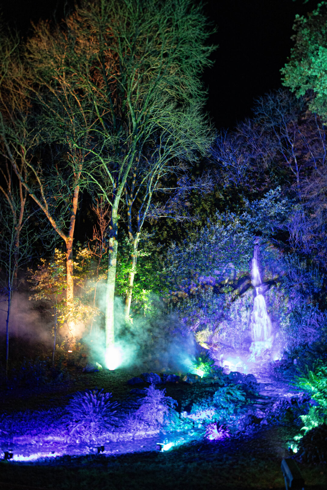 Illuminate - Hestercombe