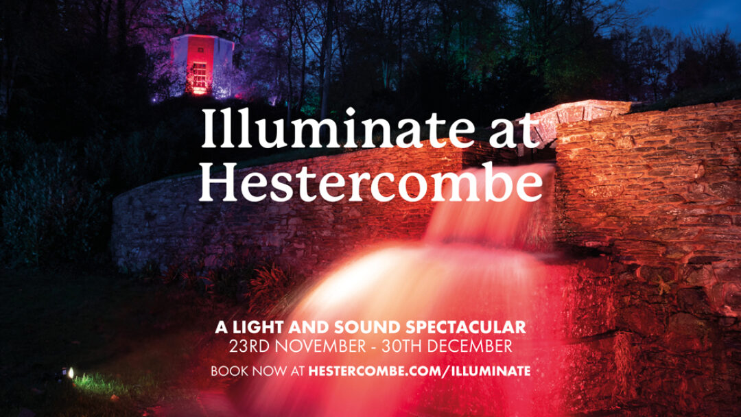 Illuminate - Hestercombe